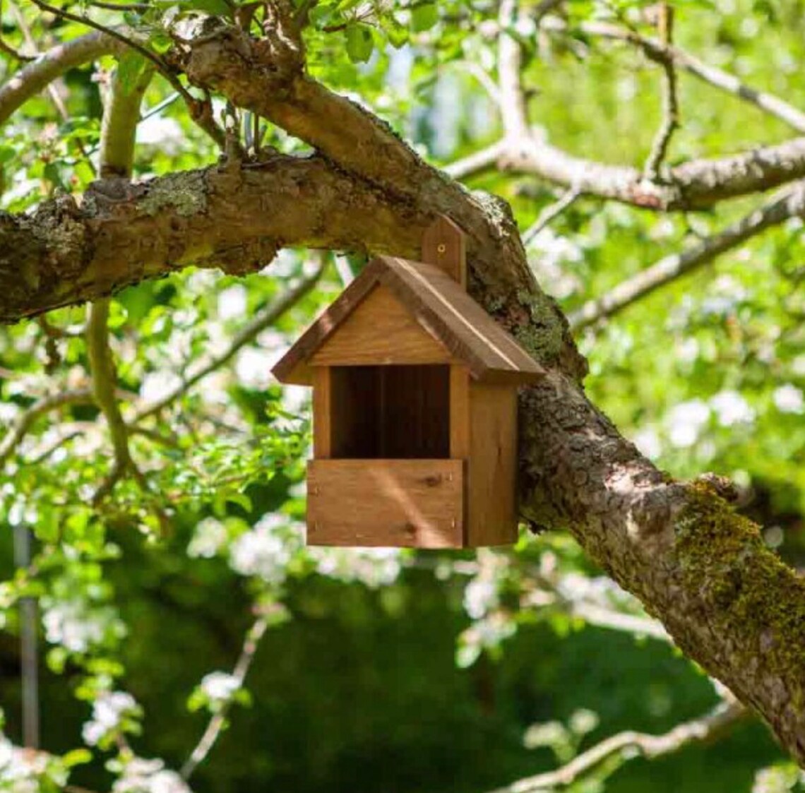 Robin Nesting Box Bird Boxes UK Bird House Garden | Etsy