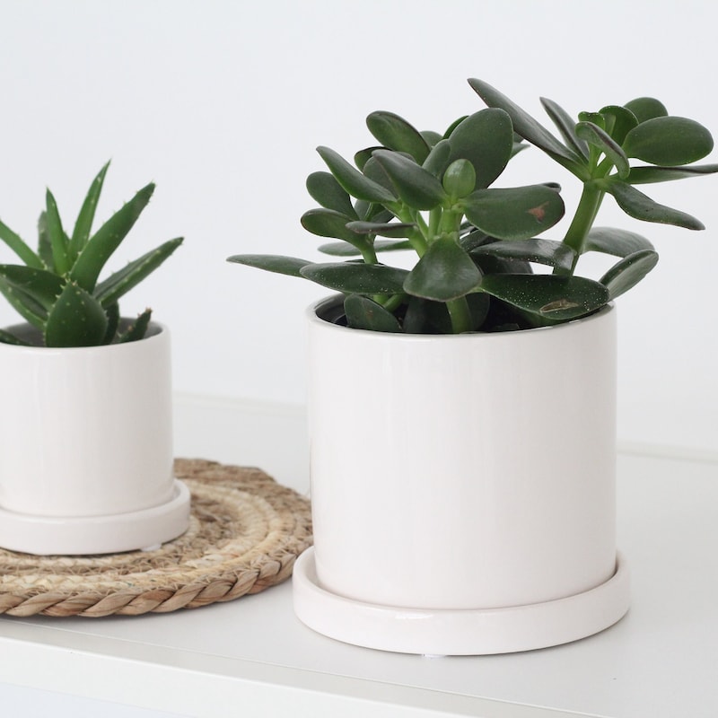 White Planter - Etsy