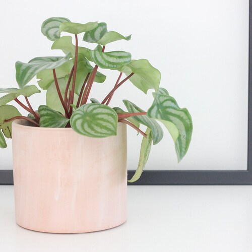 Large Terracotta Blush Pink Cylinder Planter - Etsy