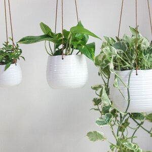 Large Textured Glossy White Ceramic Hanging Planter Pot - Etsy