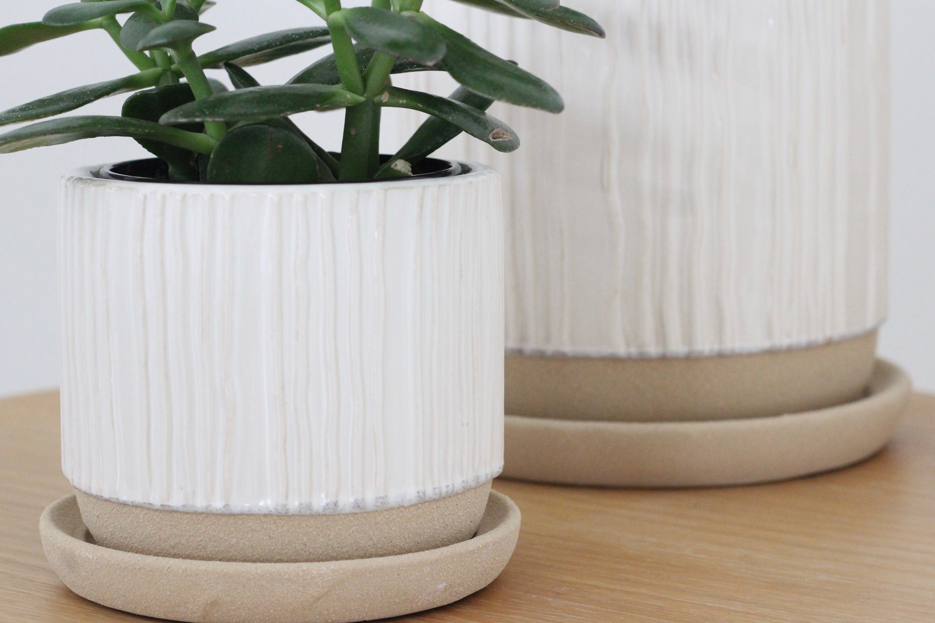 Textured Planter With Saucer in White Ceramic on Beige - Etsy