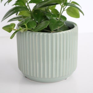 Fluted Sage Green Ribbed Indoor Planter Pot With Reactive Glaze - Etsy