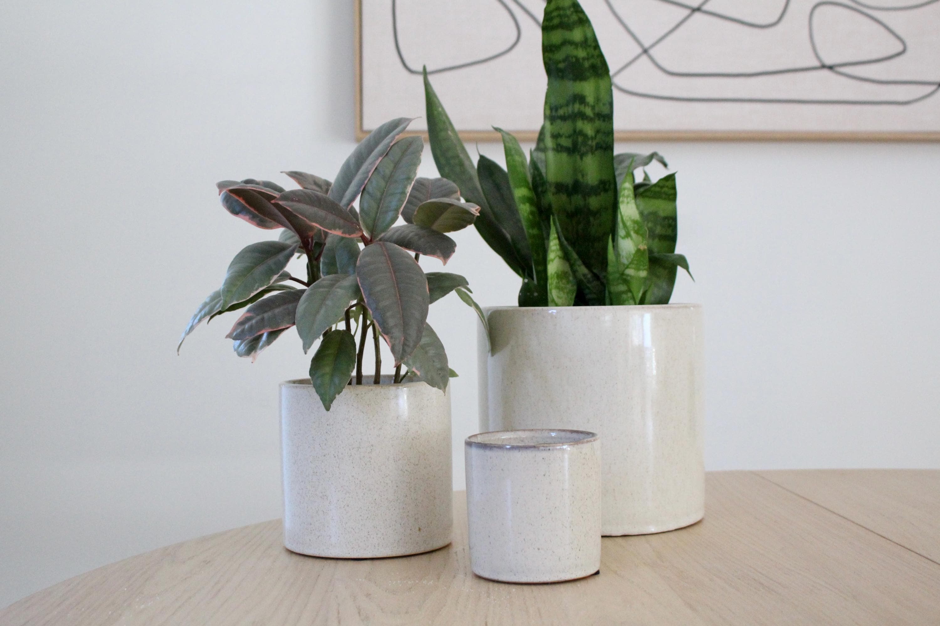 Speckled Minimalist Ceramic Plant Pot | Aesthetic Beige Succulent ...