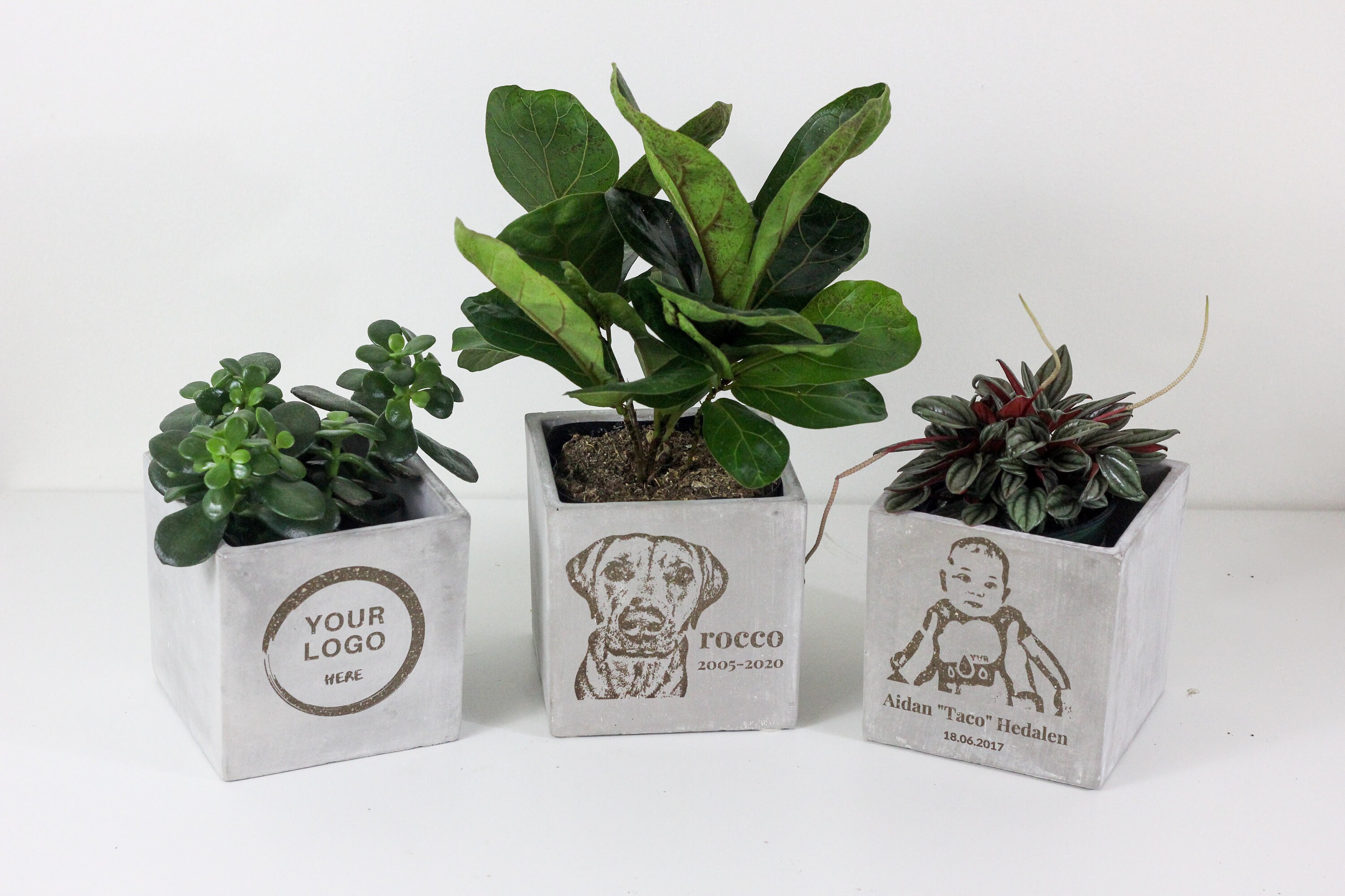 Large Personalized Engraved Custom Concrete Cube Planter Pot - Etsy Canada