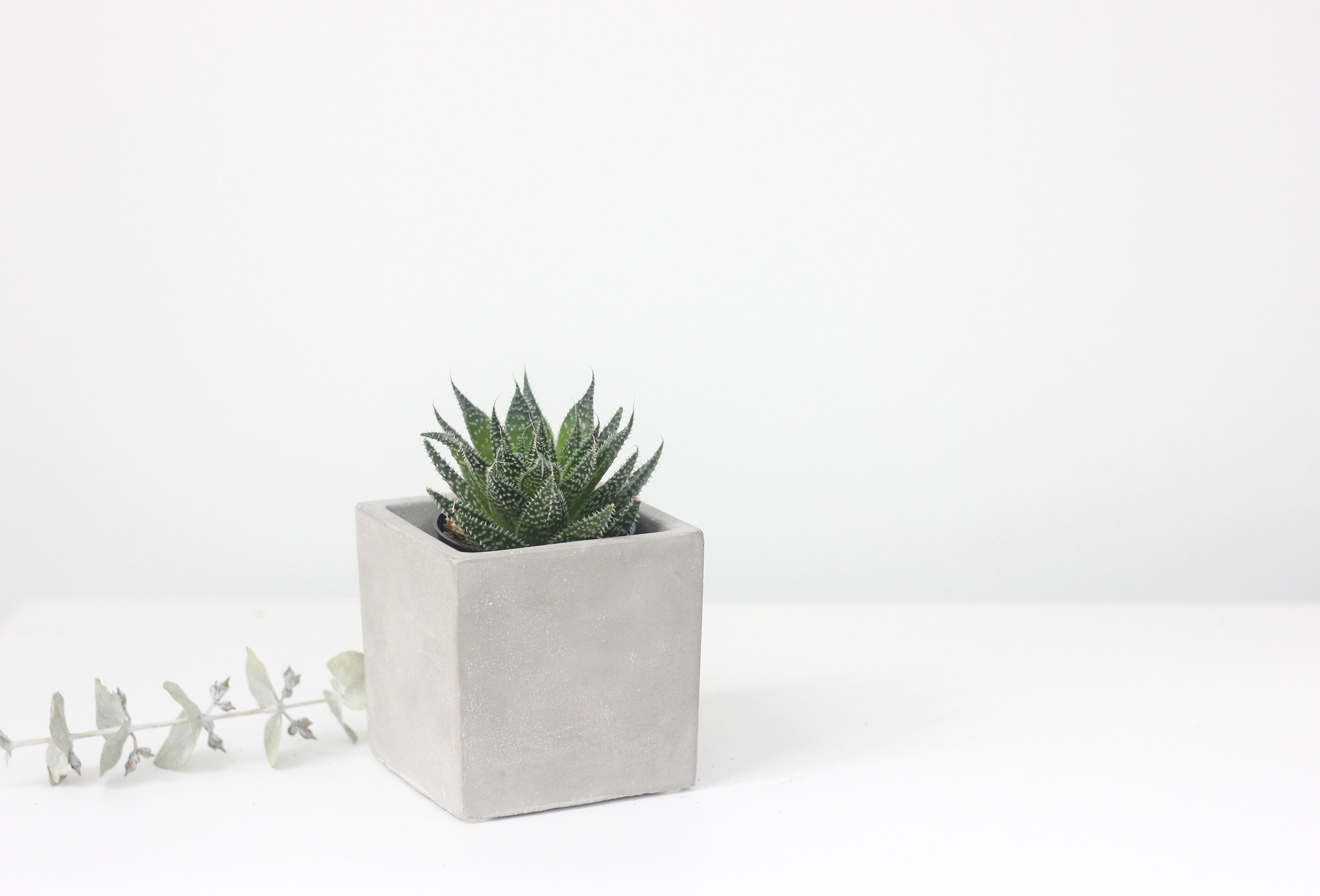 Mini Concrete Cement Square Cube Planter Succulent Pot | Etsy