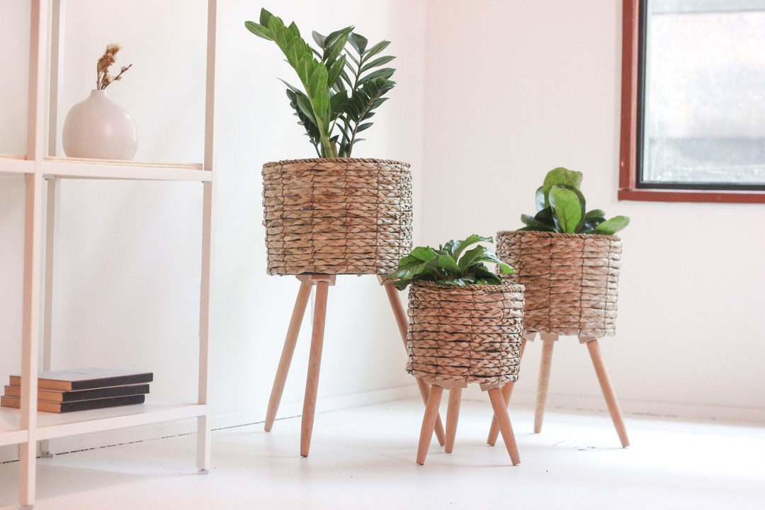 Boho Vintage Cat Tail Woven Plant Stand - Etsy