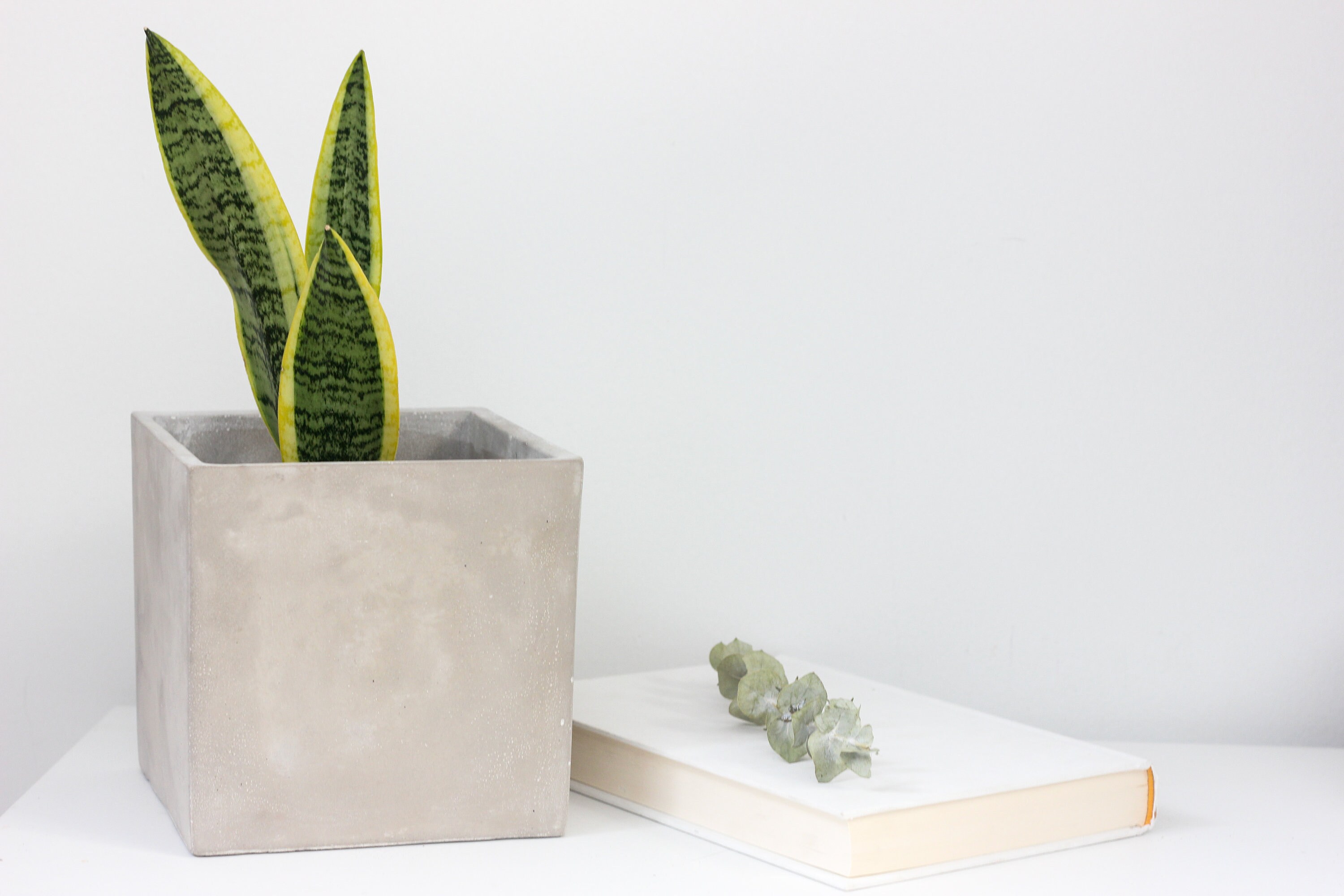 Mini Concrete Cement Square Cube Planter Succulent Pot | Etsy