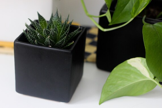 Mini Ceramic Cube Planter In Matte Black Etsy Canada