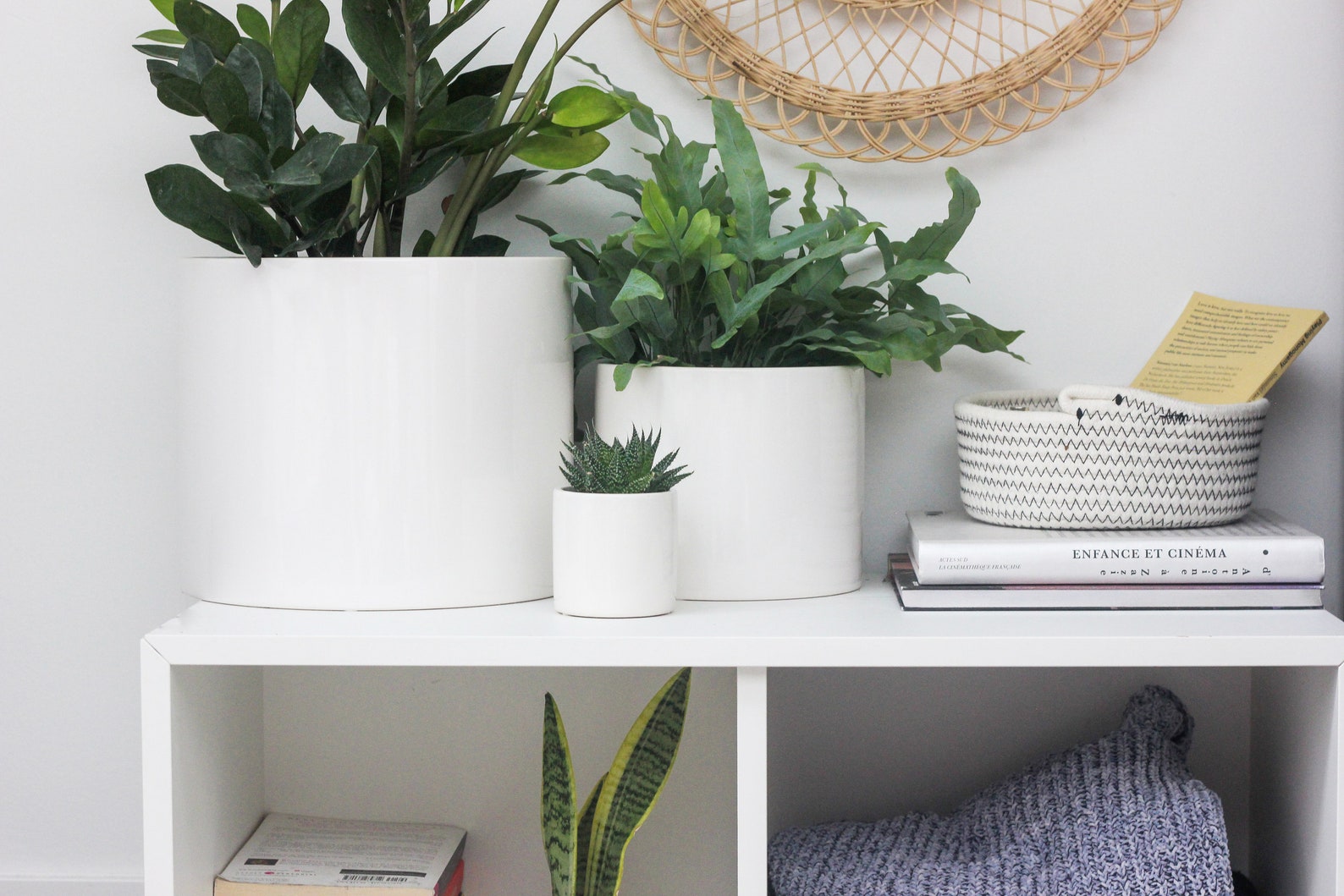 Minimalist Modern Ceramic Plant Pot in White - Etsy