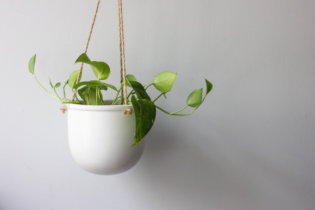Large Hanging Planter Pot in Matte White - Etsy