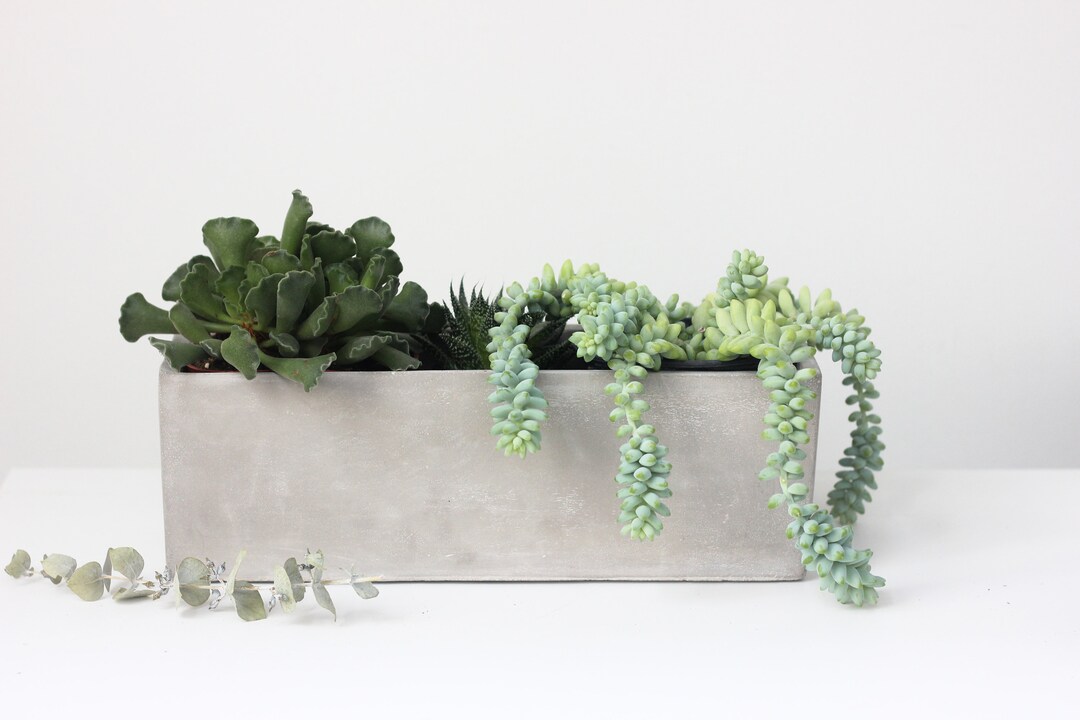Large Concrete Rectangle Planter and Succulent Box - Etsy