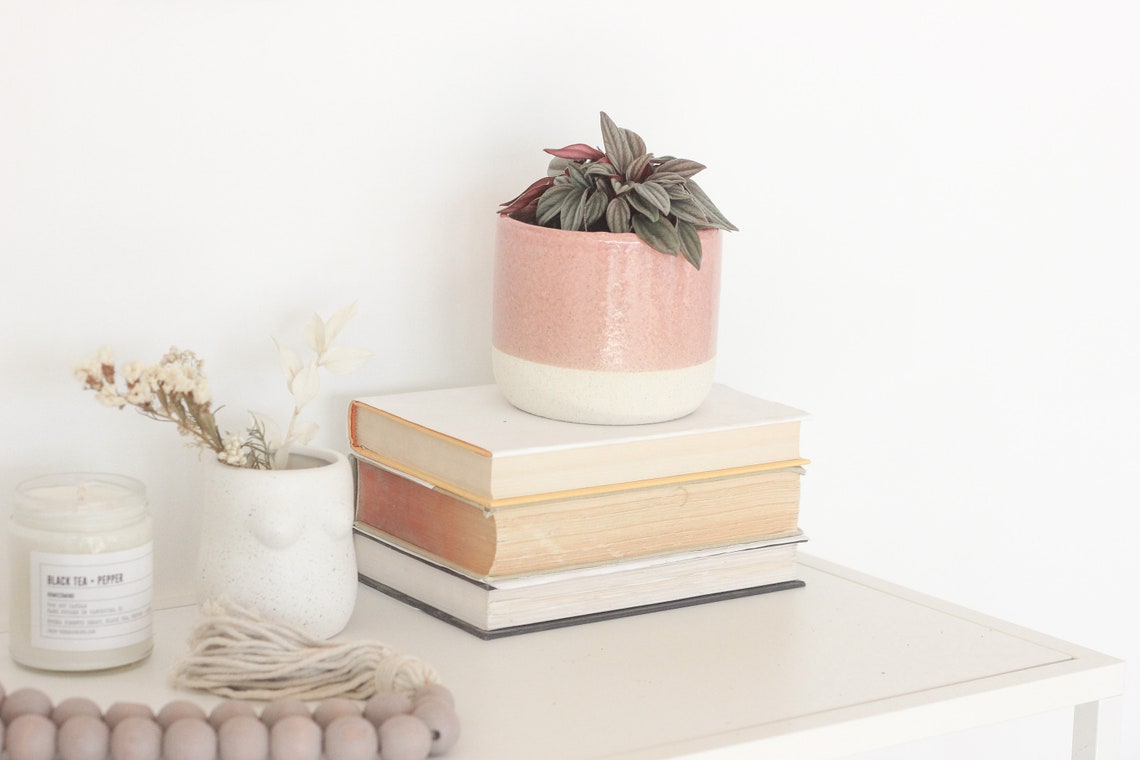 Blush Pink and Natural Ceramic Planter Pot With Crackle Glaze - Etsy
