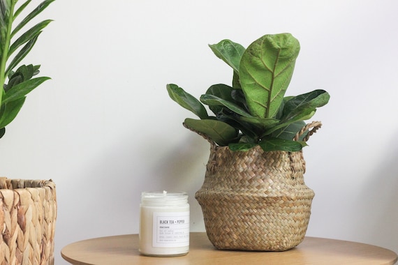 Seagrass basket for plants store