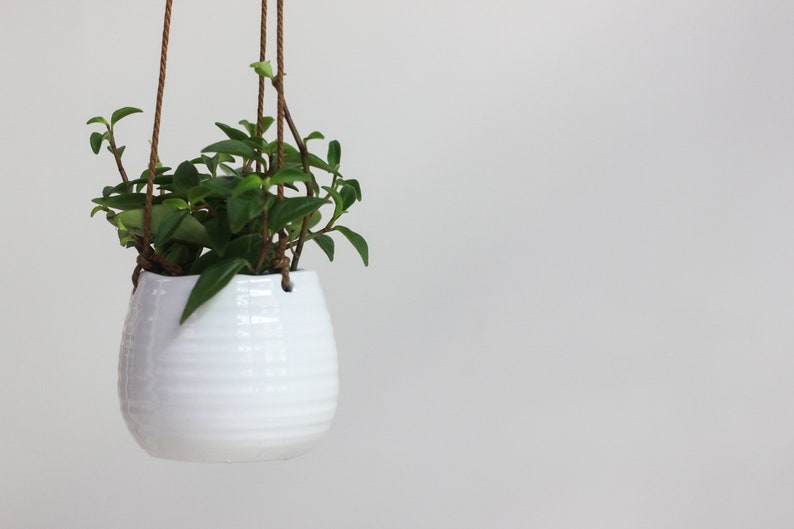 Large Textured Glossy White Ceramic Hanging Planter Pot - Etsy