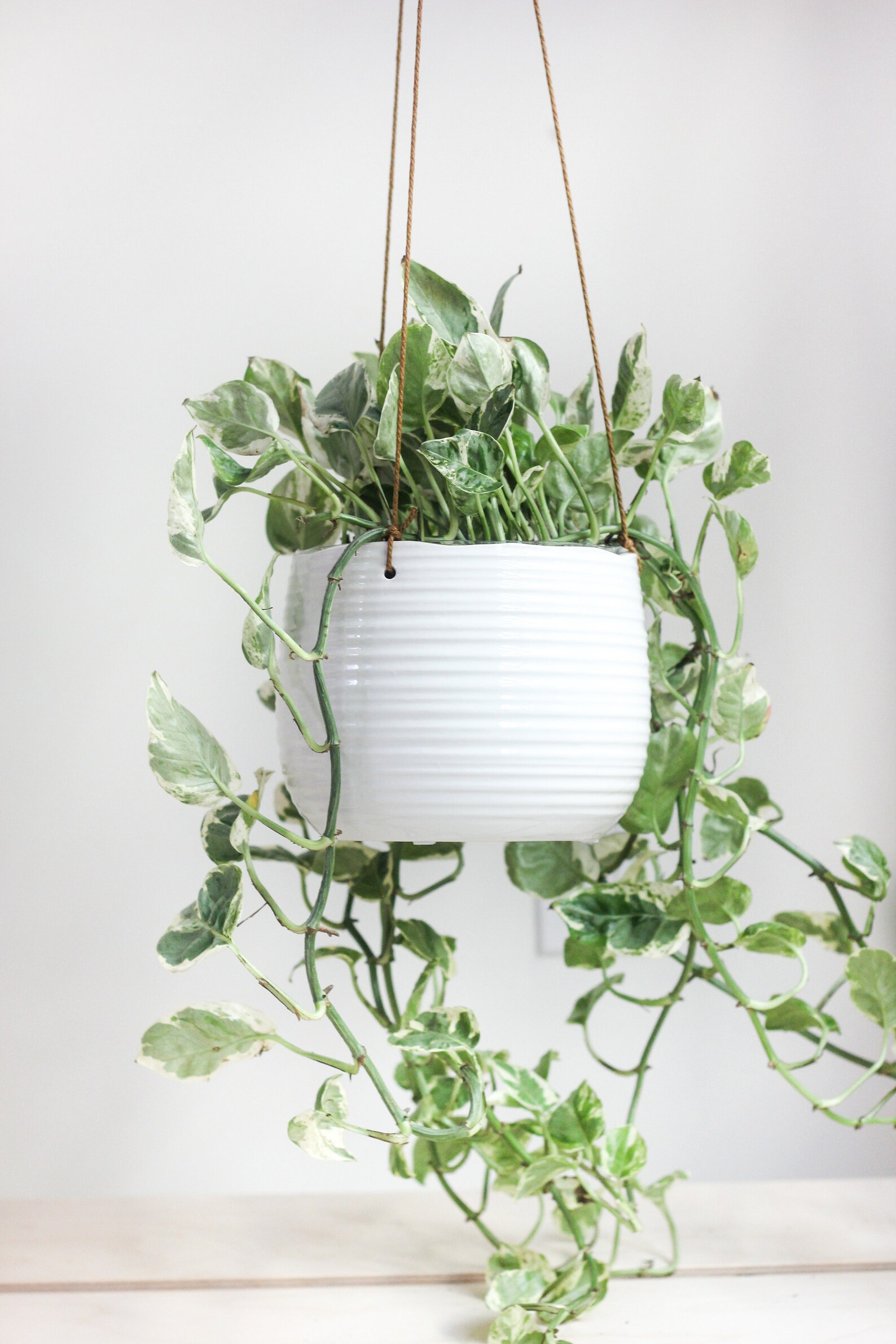 Large Textured Glossy White Ceramic Hanging Planter Pot - Etsy