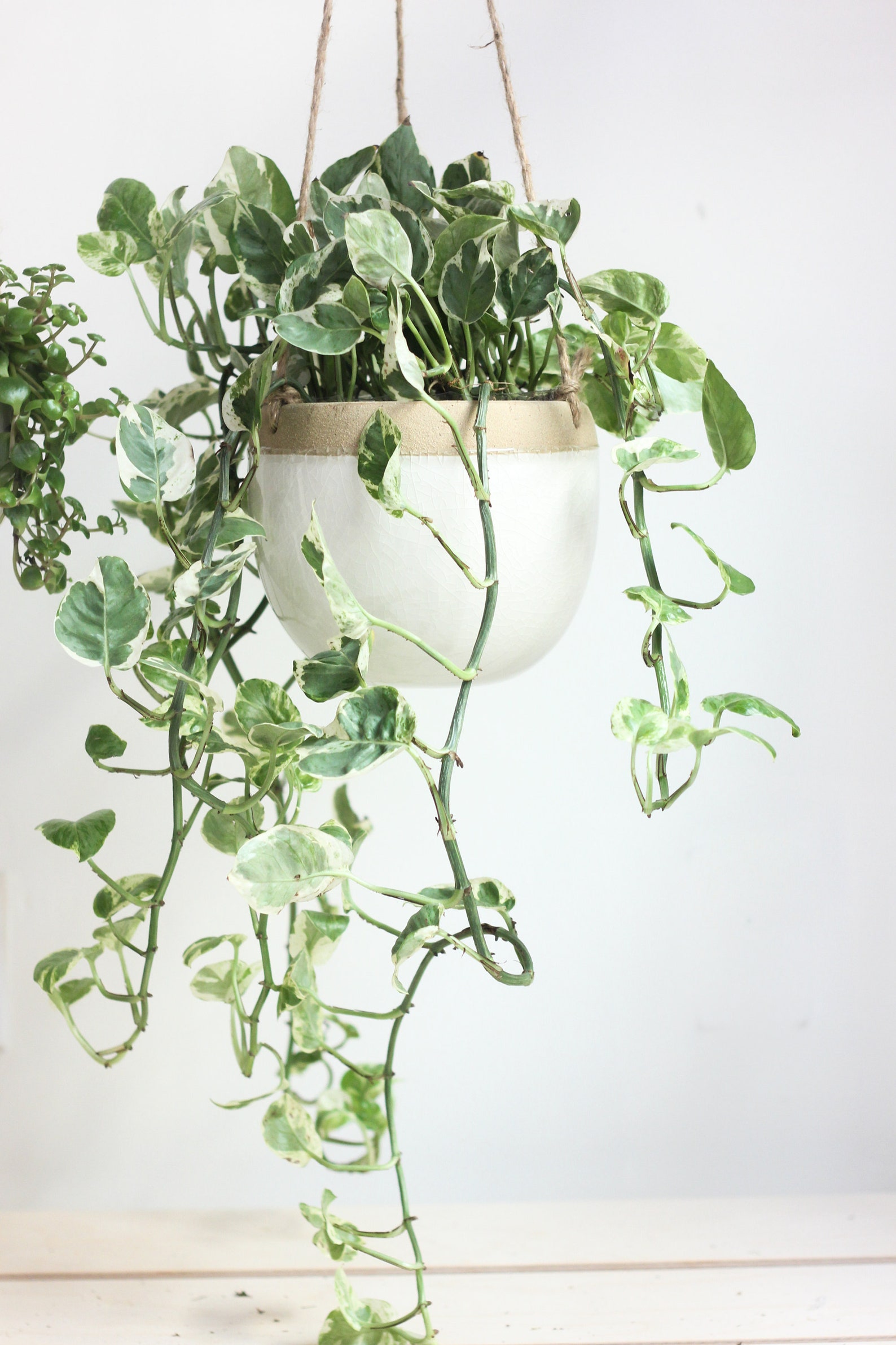 Large Ceramic Hanging Modern Boho Planter Pot in White and - Etsy