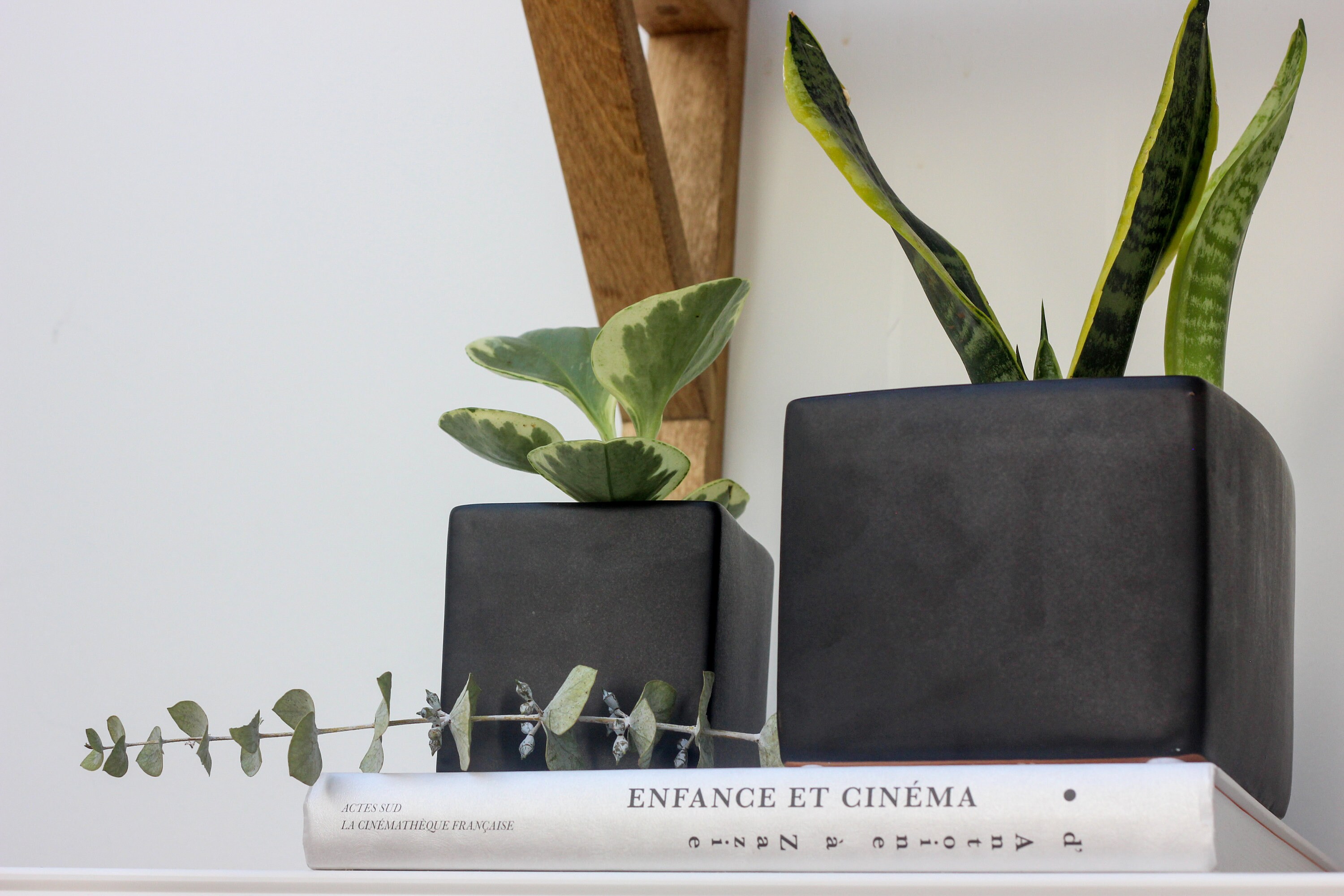 Mini Ceramic Cube Planter In Matte Black Etsy Canada