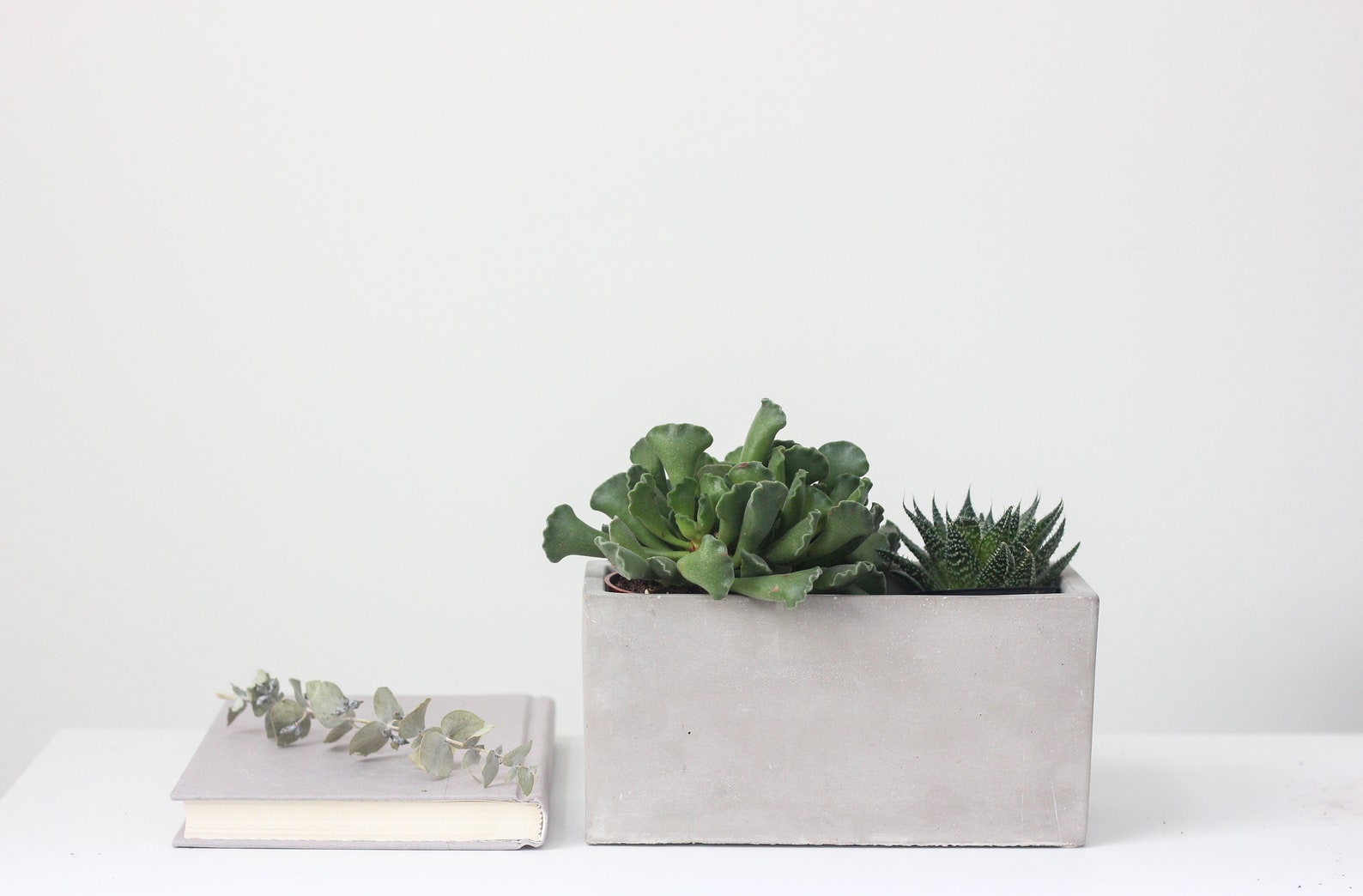 Concrete Rectangle Planter and Succulent Box | Etsy