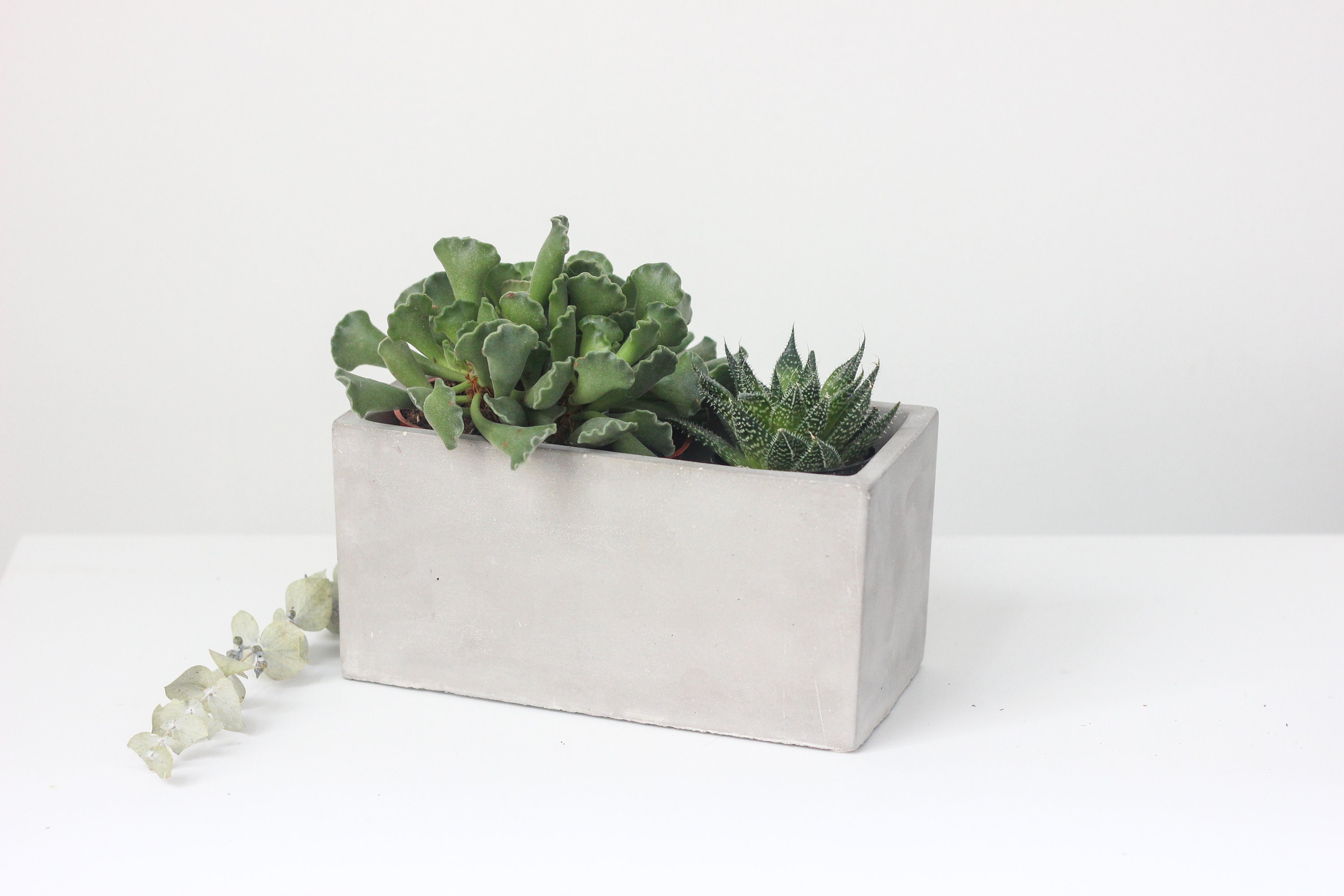 Concrete Rectangle Planter and Succulent Box | Etsy