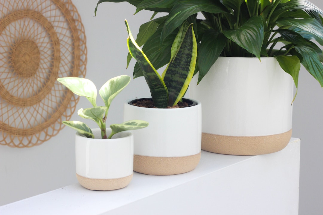 Minimalist Ceramic Plant Pot White on Beige - Etsy