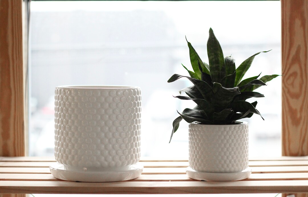 Bubble Textured Plant Pots in White Ceramic With Saucer for Drainage - Etsy