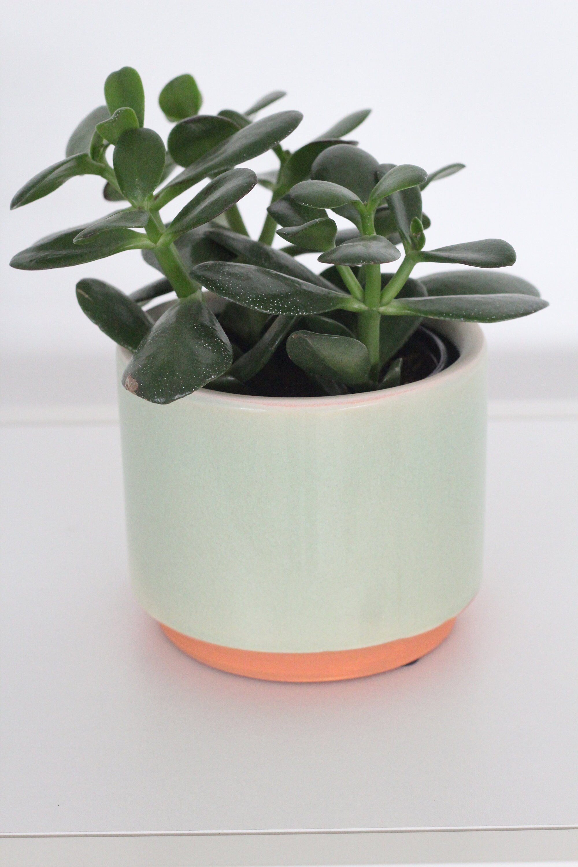 Sage Green and Terracotta Ceramic Round Planter Pot - Etsy