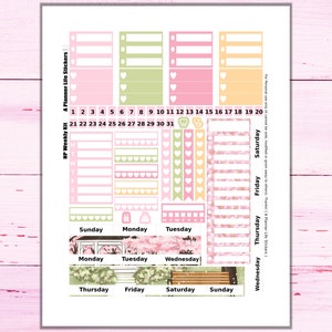 Cherry Blossom Printable Planner Stickers: Made to Fit the Classic ...
