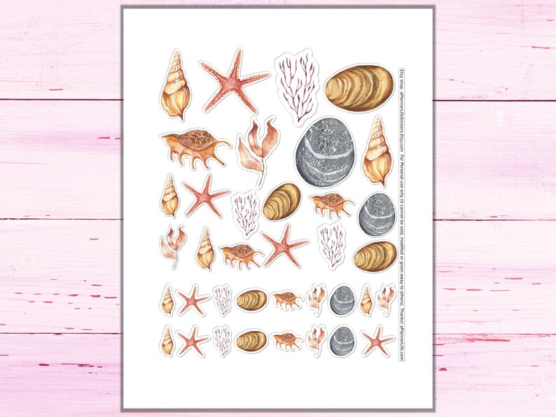 Seashell Printable Stickers: Seashells and More - Etsy