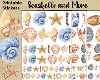 Seashell Stickers - Etsy