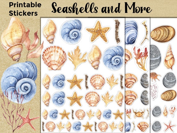 Seashell Printable Stickers: Seashells and More - Etsy