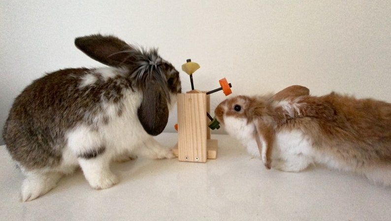 Rotating Rabbit Feeder Toy Rabbit Food Holder Rabbit Food | Etsy