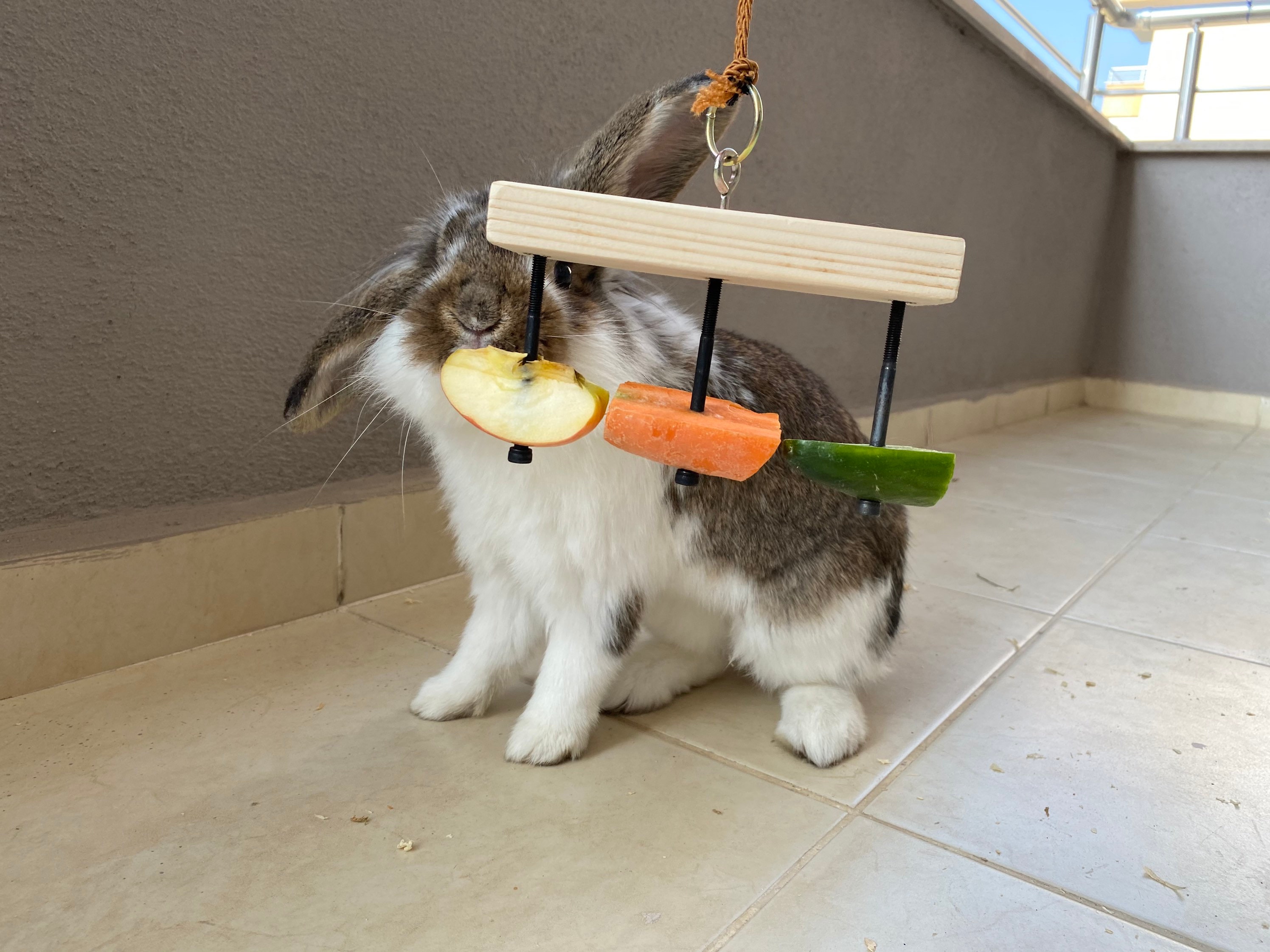 Rabbit Food Hanging Toy Food Holder for Bunnies Bunny Toys | Etsy