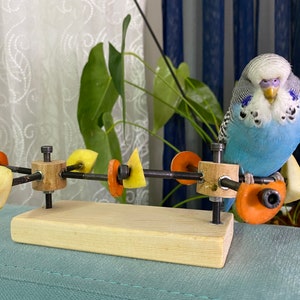 Rotating Bird Feeder Toy, Budgie Toy, Budgerigar Toy, Parakeet Toy ...