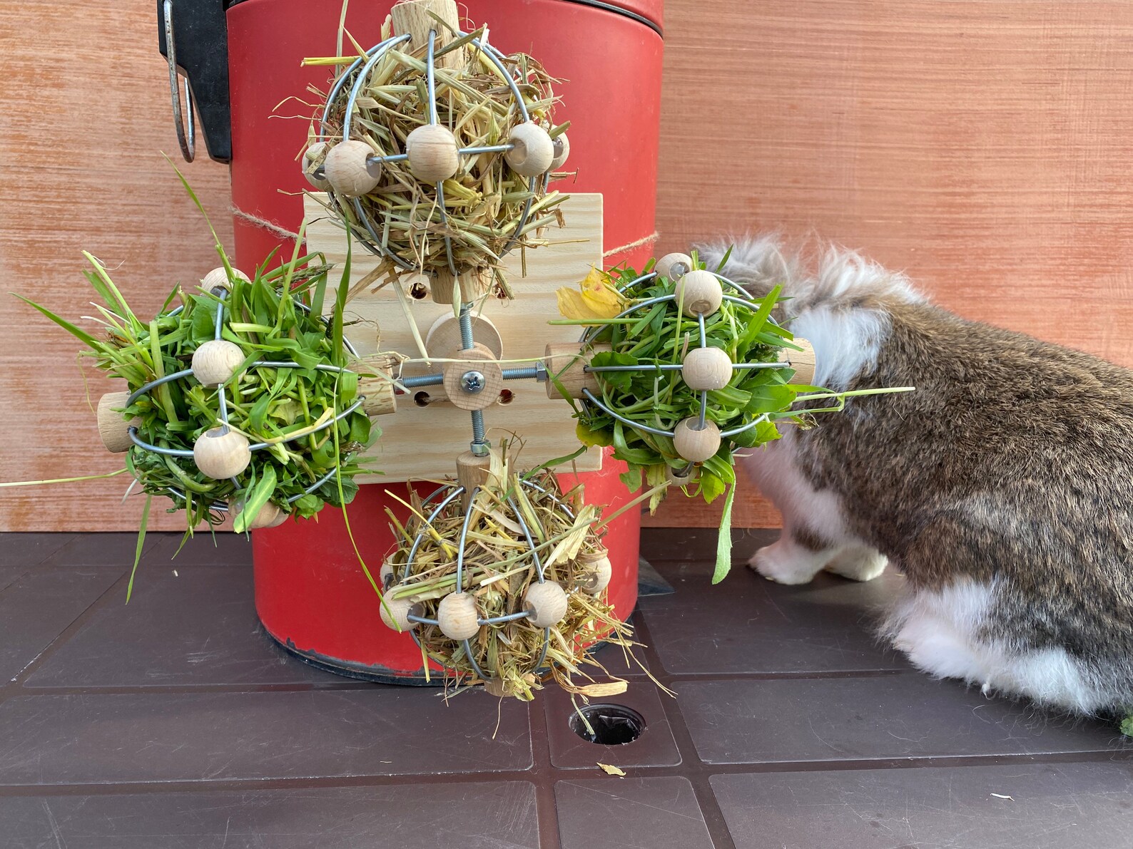 Rotating 4 Hay Balls for Rabbits, Rabbit Hay Feeder Toy, Bunny Cage ...