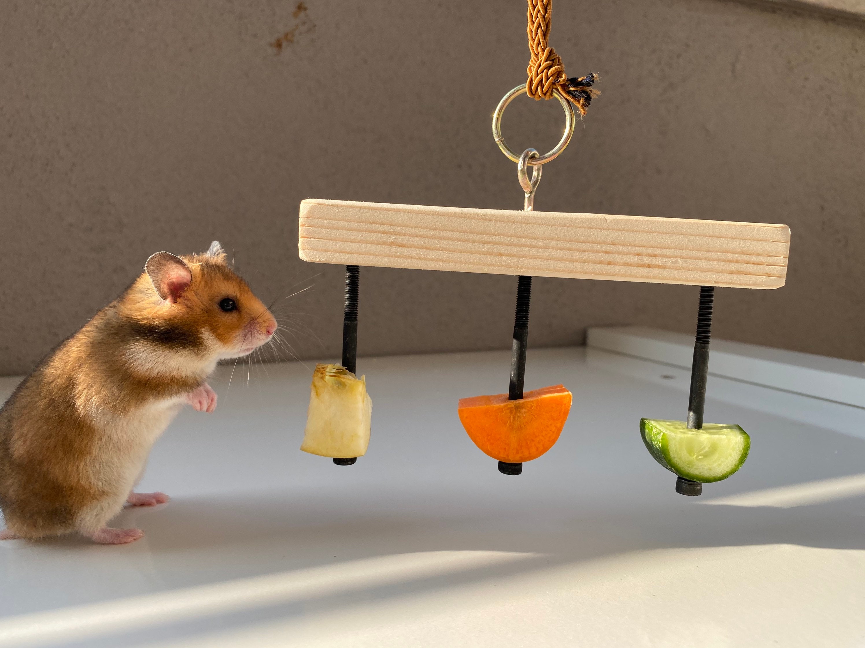 Hamster Food Hanging Toy food holder feeder toy | Etsy