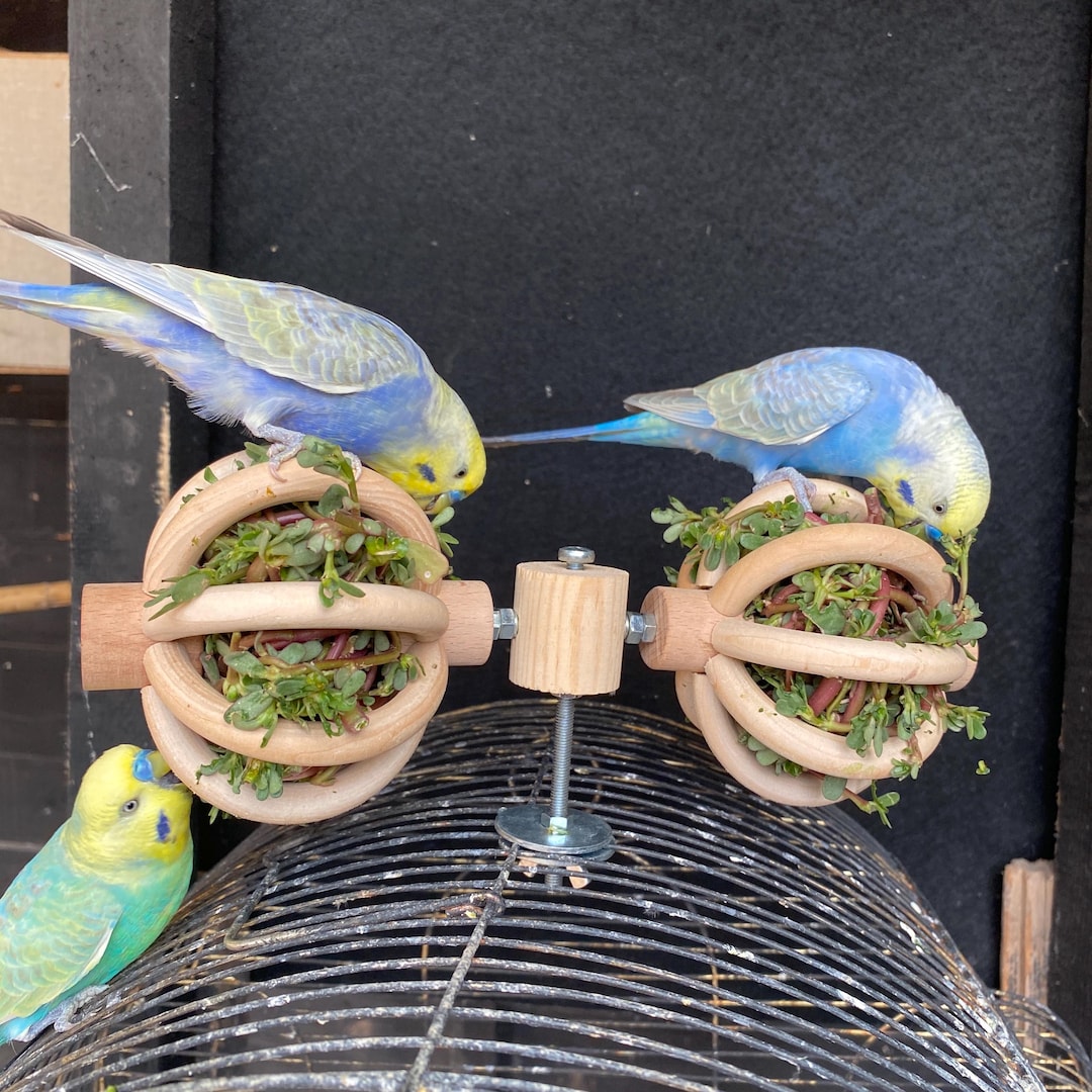 Rotating Bird Food Ball: Cage Perch Toy for Parrots & Budgies - Etsy