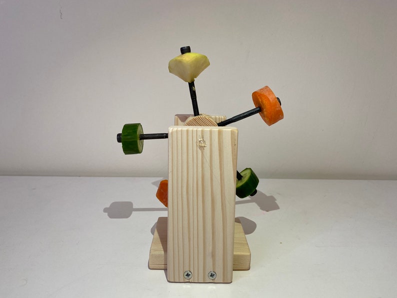 Rotating Rabbit Feeder Toy Rabbit Food Holder Rabbit Food | Etsy