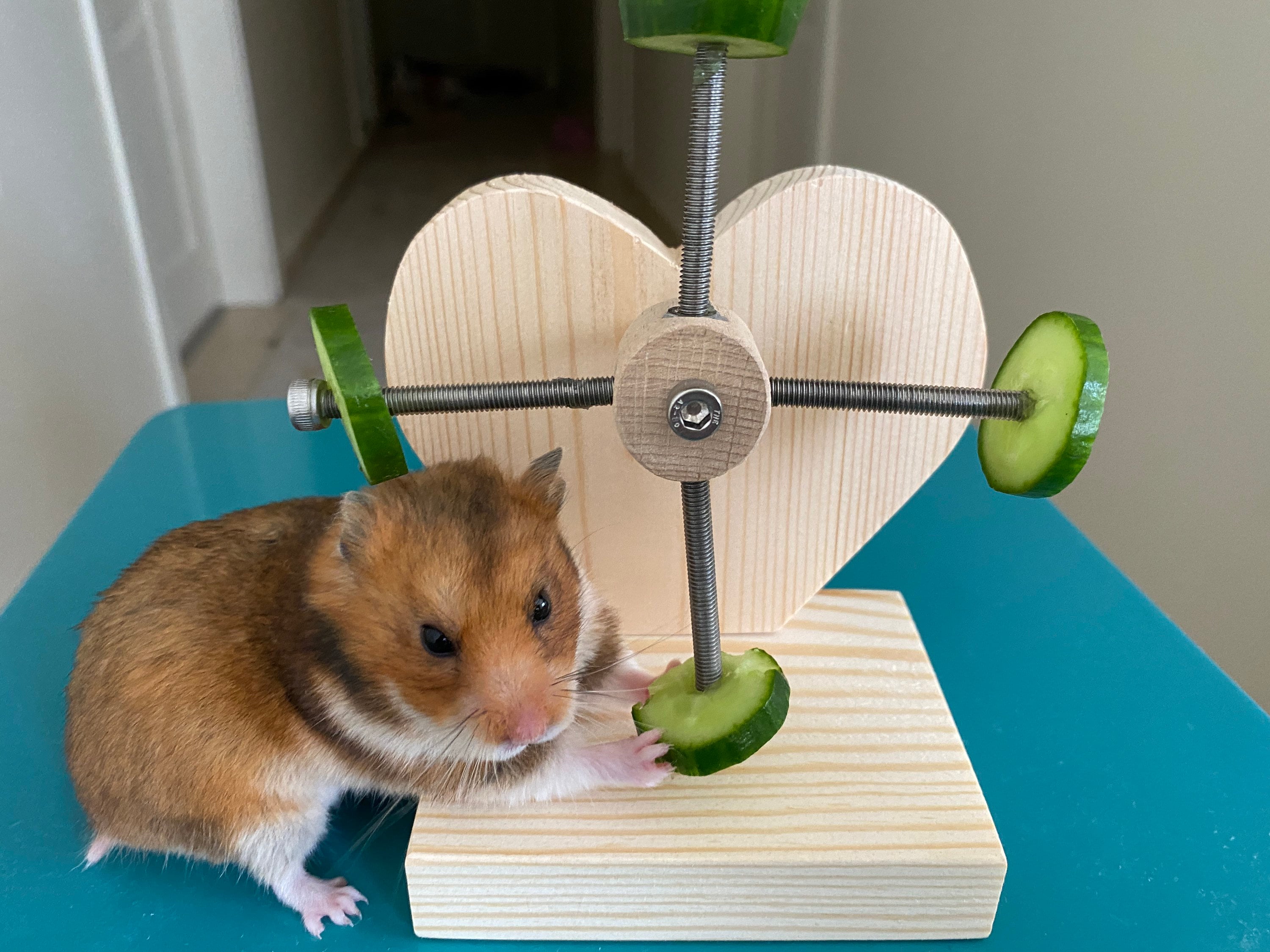 Heart Shape Hamster Treat Feeder Toy Wheel Food holder | Etsy