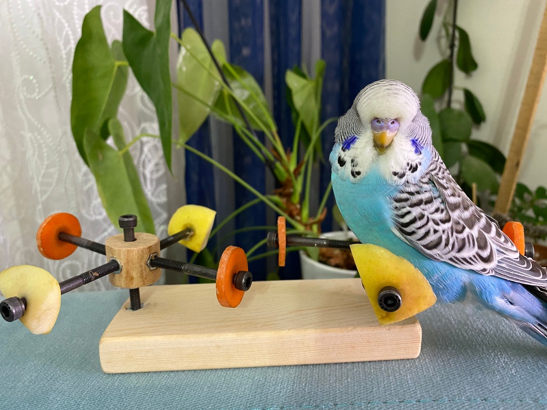 Rotating Bird Feeder Toy, Budgie Toy, Budgerigar Toy, Parakeet Toy ...