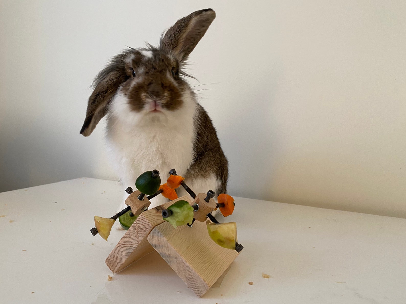 Rabbit Feeder Toy rabbit wood toy rotating rabbit toy bunny | Etsy