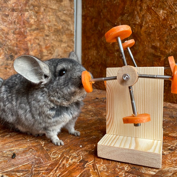 Chinchilla Cage Accessories - Etsy