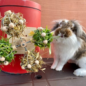 Rotating 4 Hay Balls for Rabbits, Rabbit Hay Feeder Toy, Bunny Cage ...