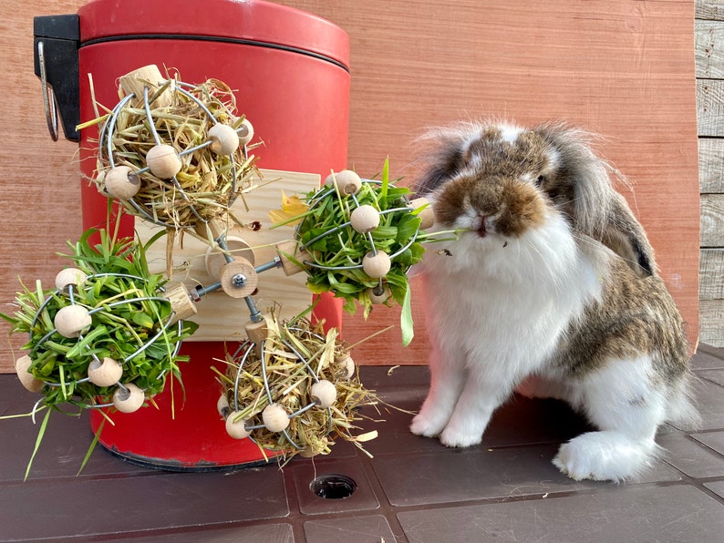Rotating 4 Hay Balls for Rabbits Rabbit Hay Feeder Toy Bunny - Etsy