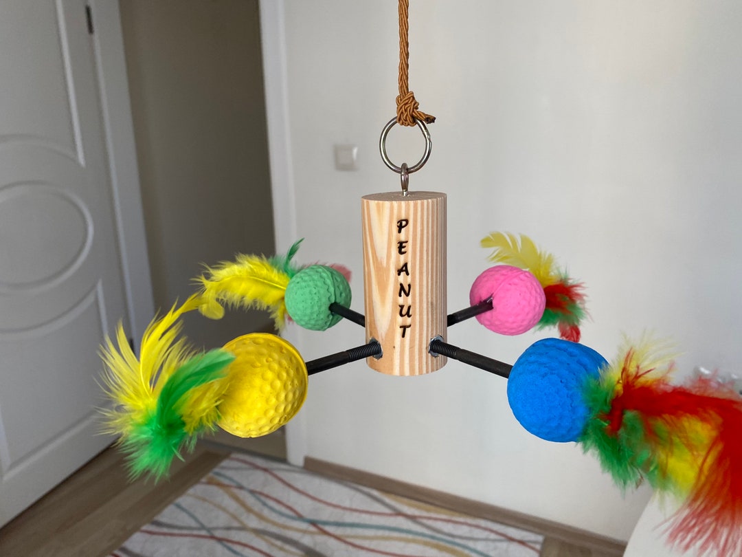 Custom Cylinder Rotating Cat Exercise Toy, Cat Wheel, Cat Accessories ...