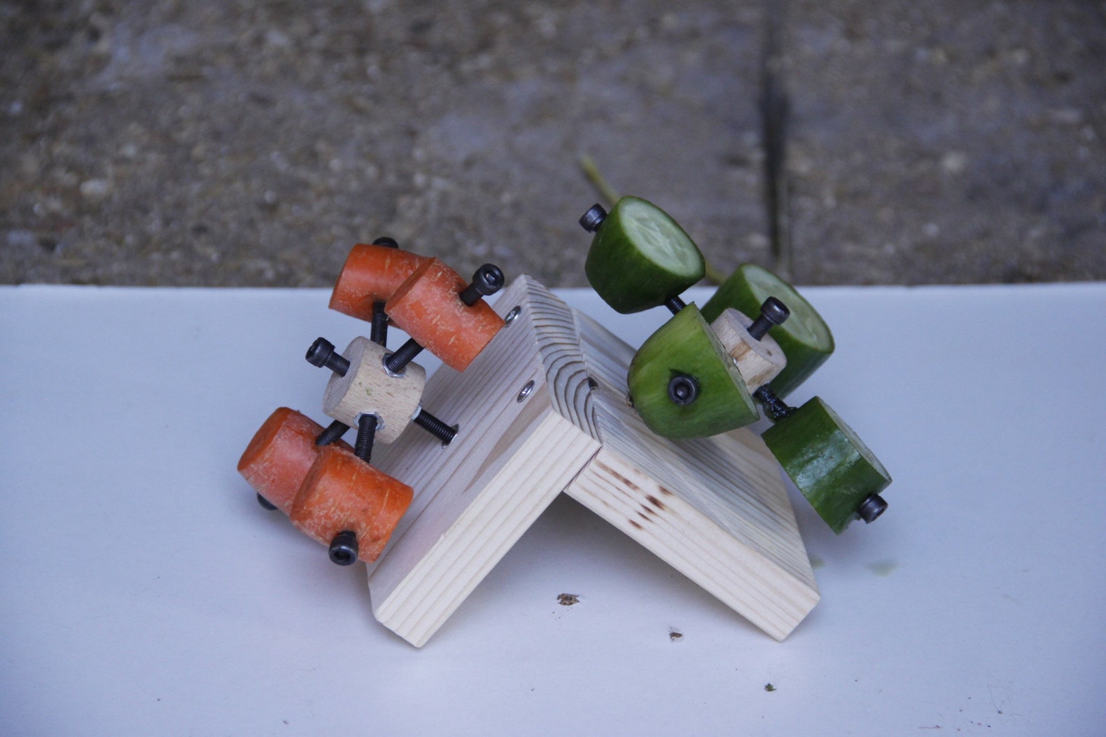 Pyramid Wheel Feeder Toy Guinea Pig Toy Rabbit Toy Hamster | Etsy