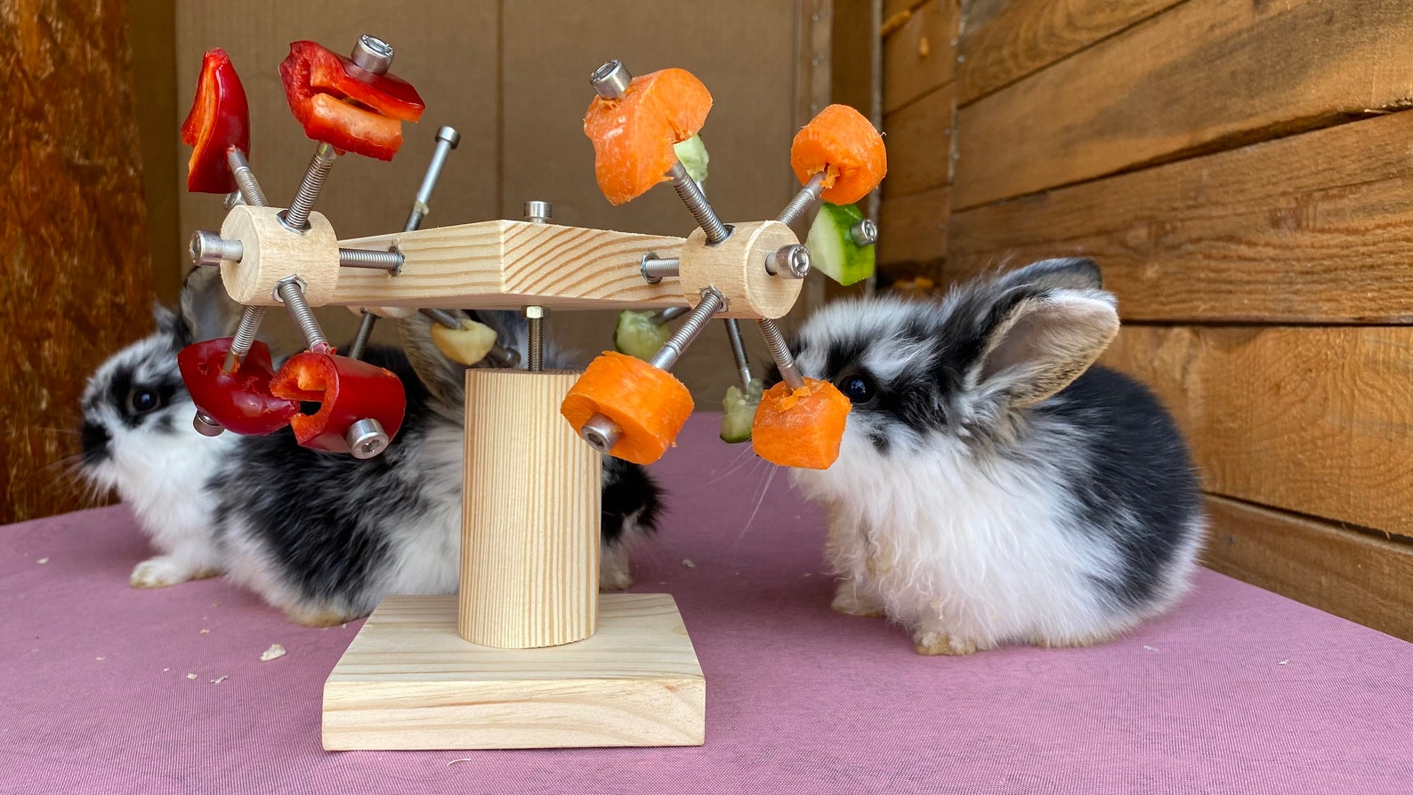4 Wheel Rabbit Food Stand Toy Bunny Toy Feeder Wooden Cage | Etsy