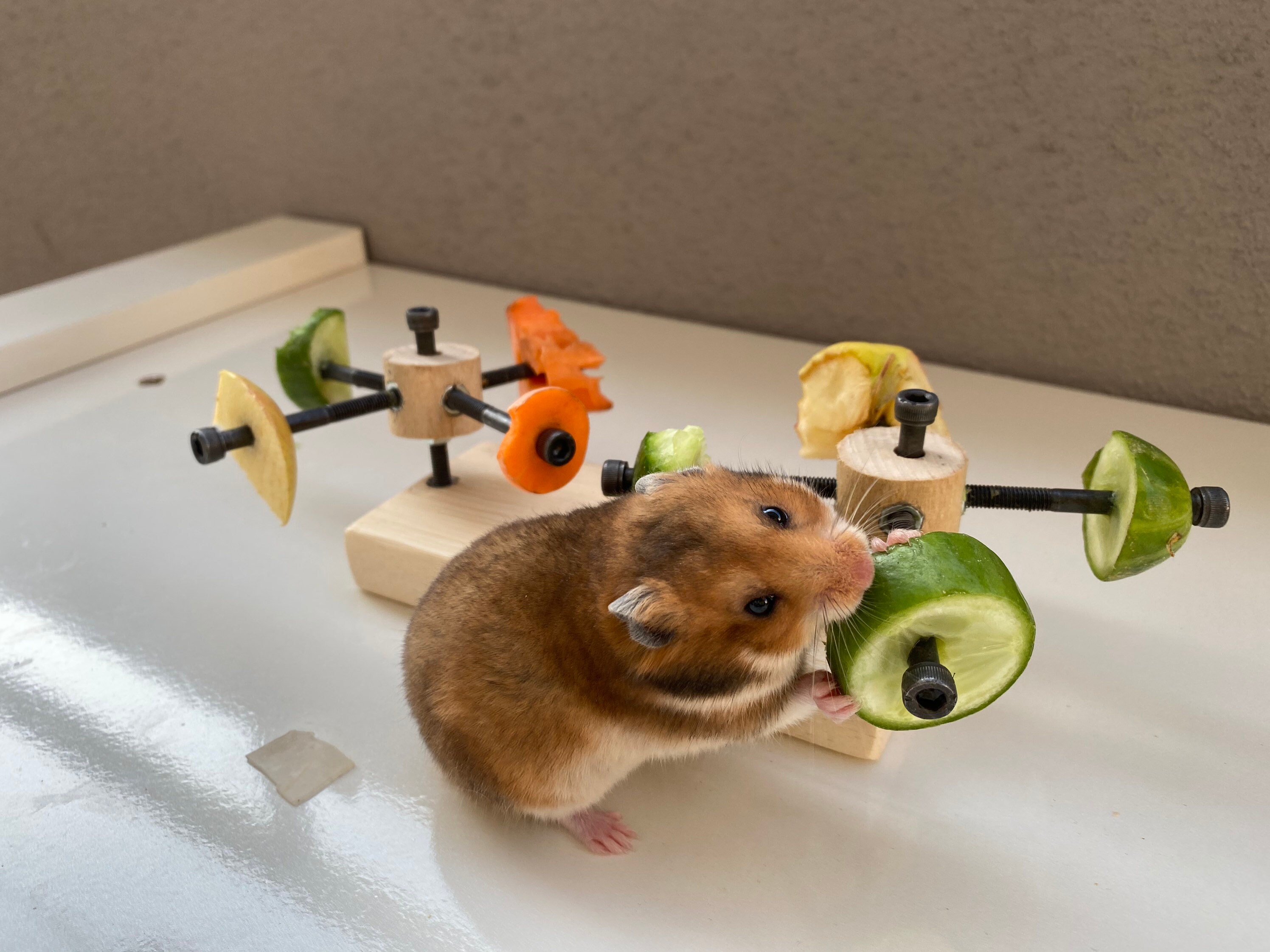 Double Wheel Hamster Toy hamster feeder hamster wood | Etsy