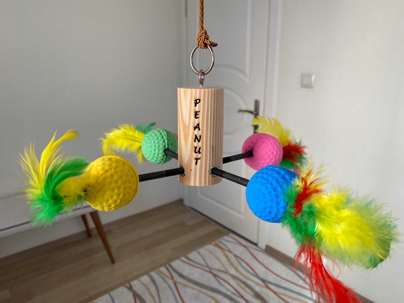 Custom Cylinder Rotating Cat Exercise Toy Cat Wheel Cat - Etsy