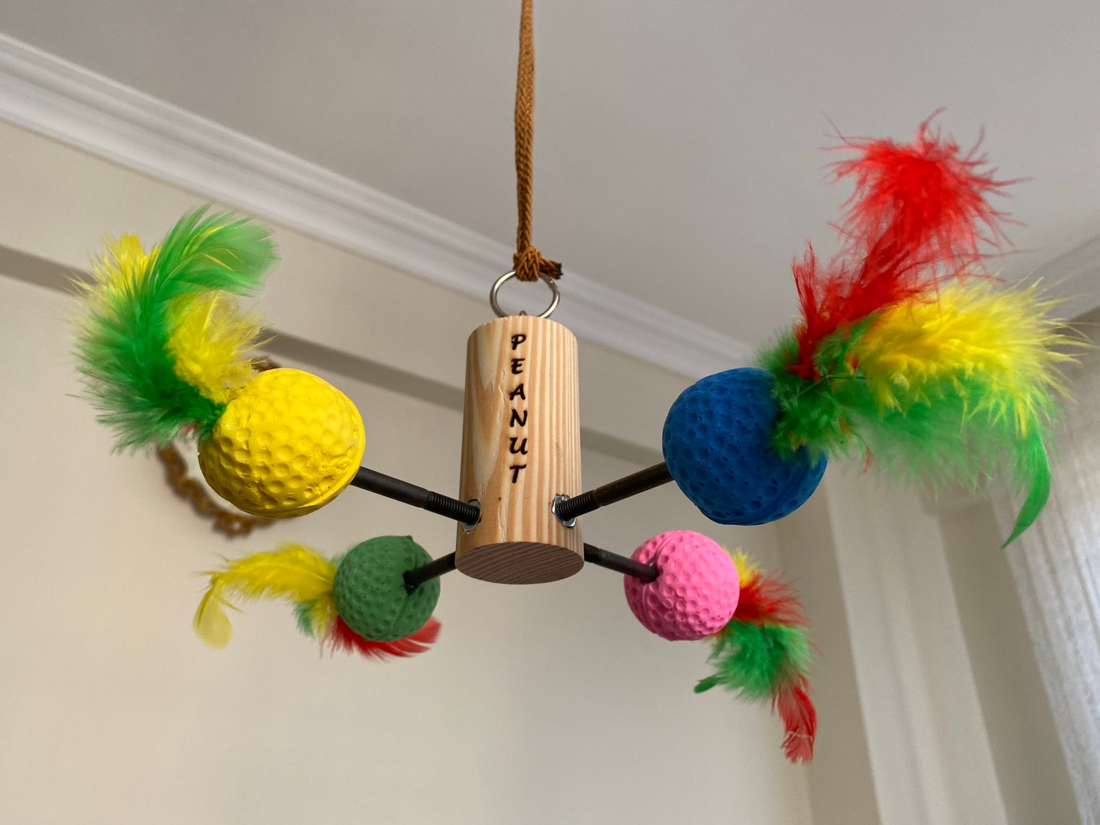 Custom Cylinder Rotating Cat Exercise Toy Cat Wheel Cat | Etsy