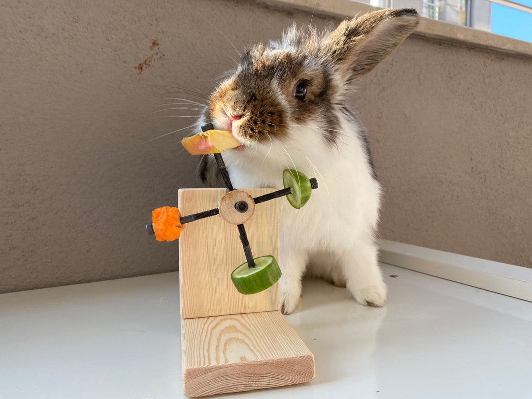 Rabbit Wheel,rabbit Feeder Toy, Rabbit Accessories, Rabbit Wood, Rabbit ...